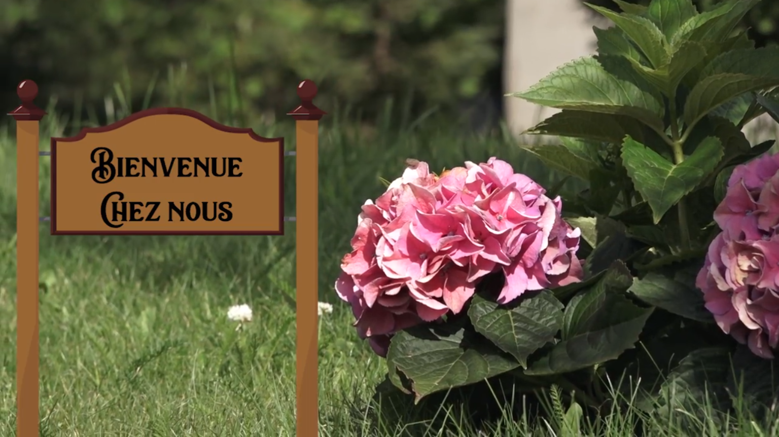 Temis TV | Le Témiscamingue à l'honneur